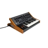 Moog SubSequent 25 Analog Synthesizer | doremusic