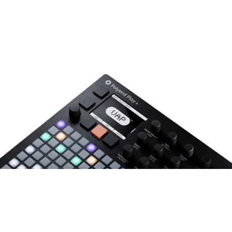 Polyend Play+ Standalone Synthesizer Sampler & MIDI Workstation | doremusic