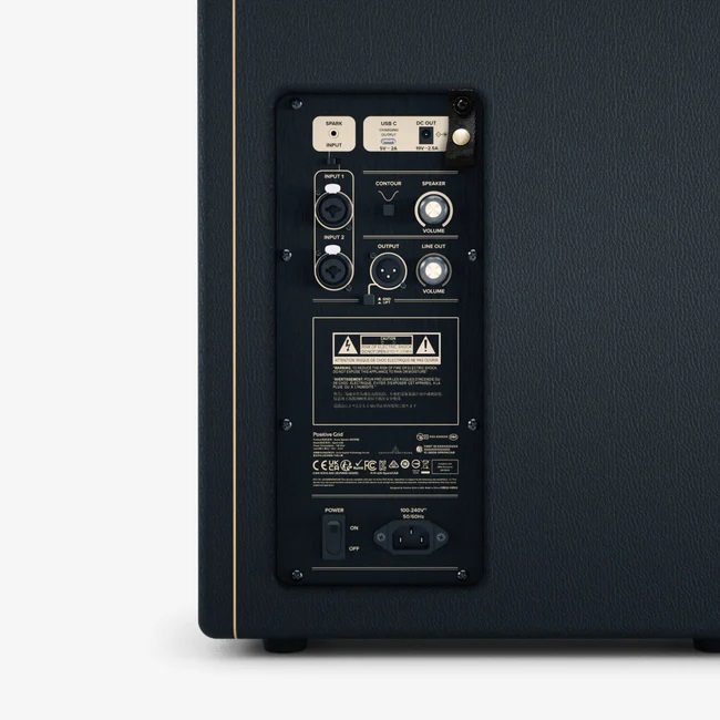 Positive Grid Spark Cab 140-Watt Class D Powered FRFR Kabin | doremusic