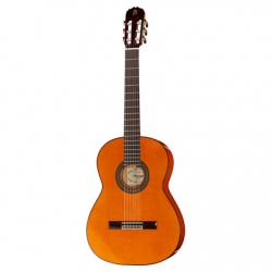 Flamenko Gitar Fiyatları ve Modelleri | doremusic