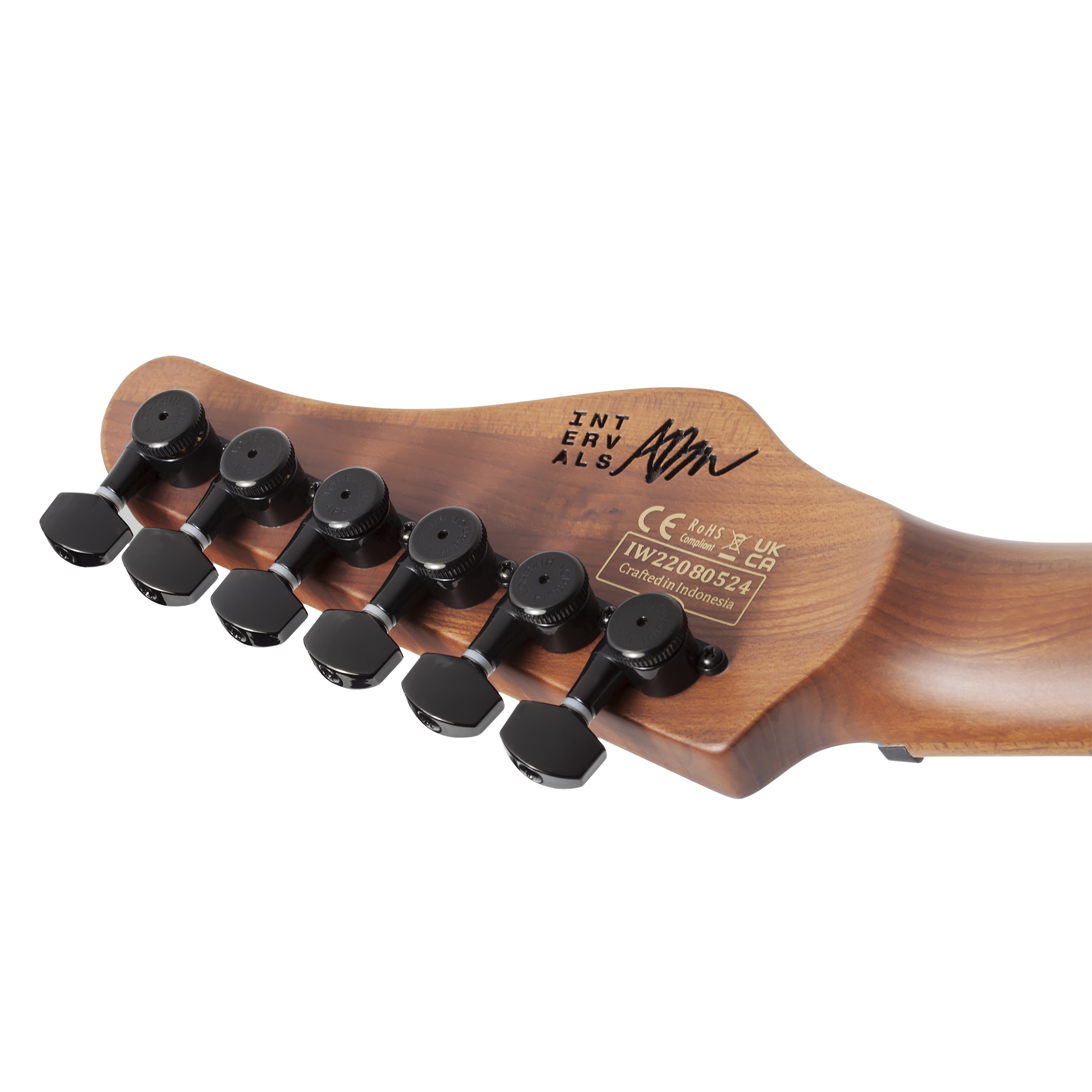 Schecter Aaron Marshall AM-6 Trem Elektro Gitar (Arctic Jade) | doremusic