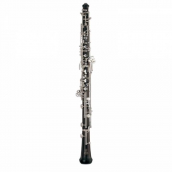 Obua Fiyatları ve Modelleri | doremusic